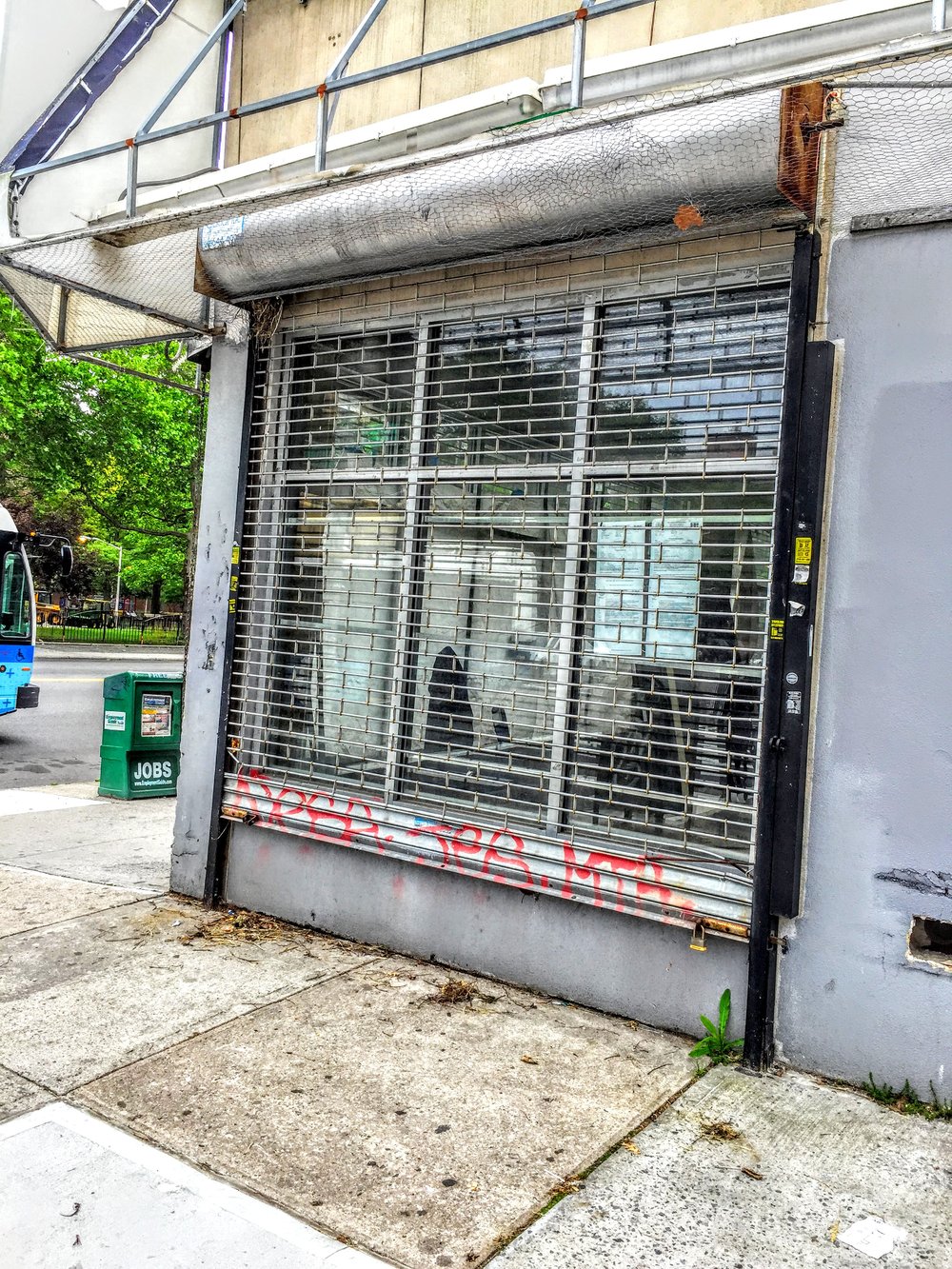 Storefront Premium Security Roll Down Gate Installation in NYC